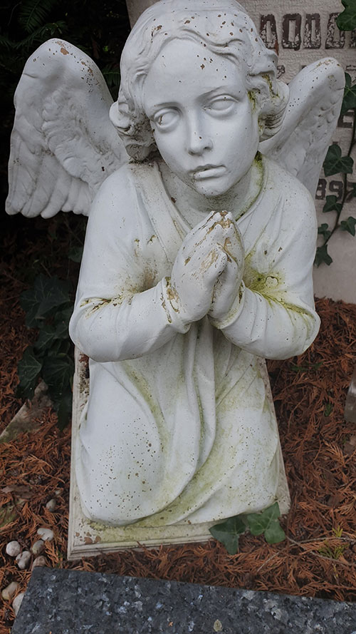 Voogt Graaftechniek - Voogt Graaftechniek